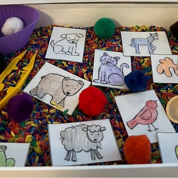 Toys | Brown Bear Brown Bear Sensory Bin Kit And Game | Poshmark